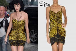 » Katy Perry: Leopard Dress Look