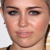 Miley Cyrus Makeup: Bronze Eyeshadow & Bubblegum Pink Lipstick | Steal ...
