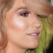 Kesha Makeup: Brown Eyeshadow & Clear Lip Gloss | Steal Her Style