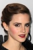 Emma Watson Straight Medium Brown Braids, Updo Hairstyle | Steal Her Style