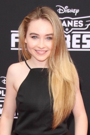 Sabrina Carpenter Straight Honey Blonde Faux Sidecut, Flat-Ironed ...