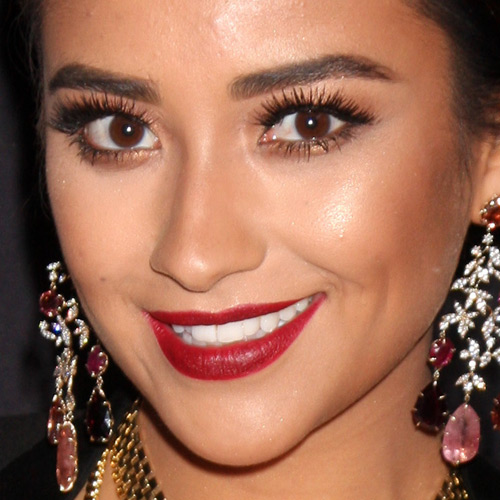 Shay Mitchell Makeup: Bronze Eyeshadow, Gray Eyeshadow & Pink Lipstick ...