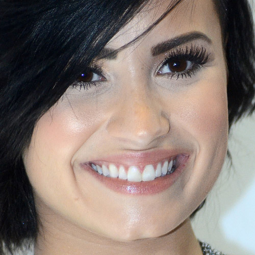 Demi Lovato Makeup: Bronze Eyeshadow, Brown Eyeshadow & Pale Pink ...