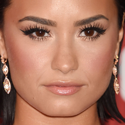 Demi Lovato Makeup: Beige Eyeshadow & Mauve Lipstick | Steal Her Style