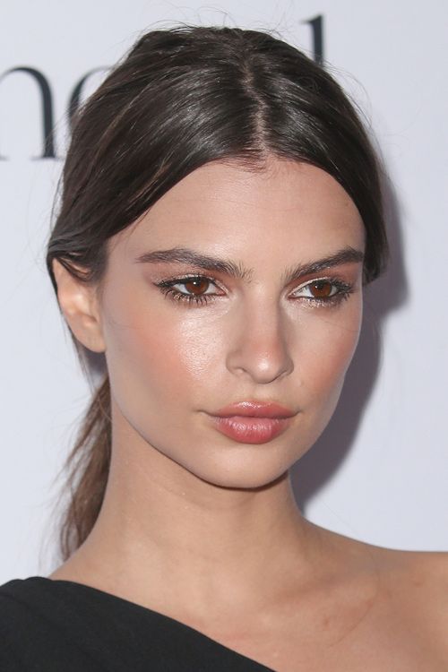 Emily Ratajkowski Straight Dark Brown Low Ponytail, Ponytail Hairstyle ...