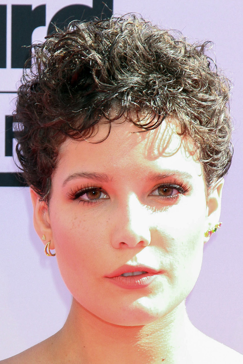 Halsey Curly Dark Brown Messy, Pin Curls Hairstyle | Steal Her Style
