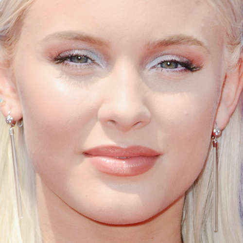 Zara Larsson Makeup: Black Eyeshadow, Silver Eyeshadow, Taupe Eyeshadow ...