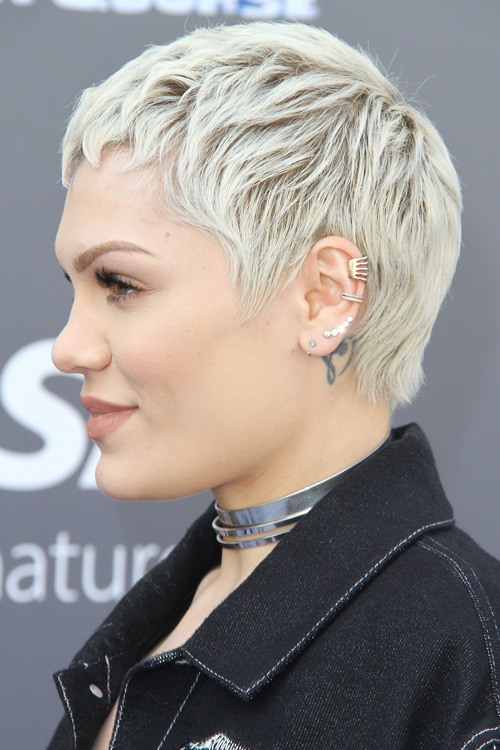 Jessie J Straight Silver Pixie Cut Hairstyle | Steal Her Style