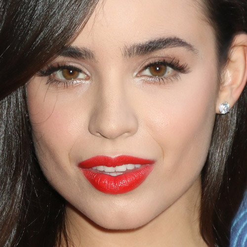 Sofia Carson Makeup: Black Eyeshadow, Brown Eyeshadow & Nude Lipstick | Steal Her Style