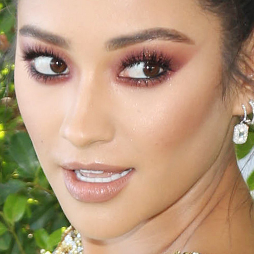 Shay Mitchell Makeup: Bronze Eyeshadow, Gray Eyeshadow & Pink Lipstick ...
