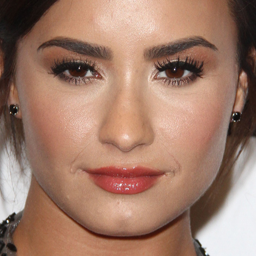 Demi Lovato Makeup: Black Eyeshadow, Brown Eyeshadow, Silver Eyeshadow ...