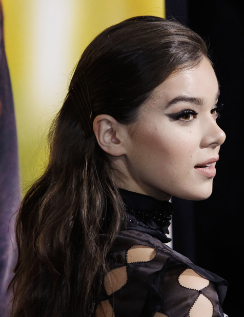 Hailee Steinfeld Wavy Medium Brown Hairstyle | Steal Her Style