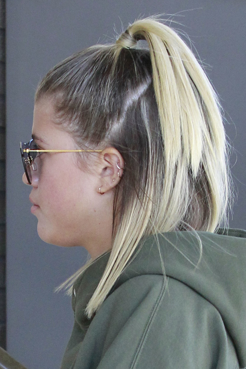 Sofia Richie Straight Medium Brown Half-Up Half-Down, Two-Tone ...