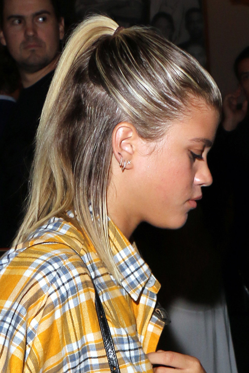 Sofia Richie Straight Medium Brown All-Over Highlights, Two-Tone ...