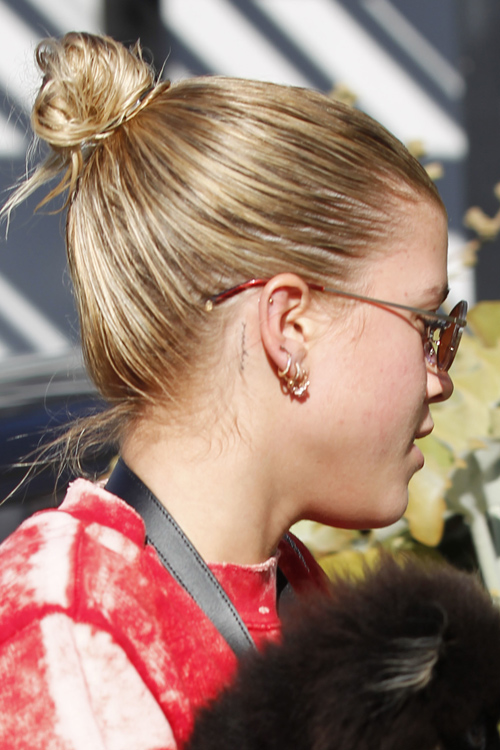 Sofia Richie Straight Light Brown All-Over Highlights, Bun, Two-Tone ...