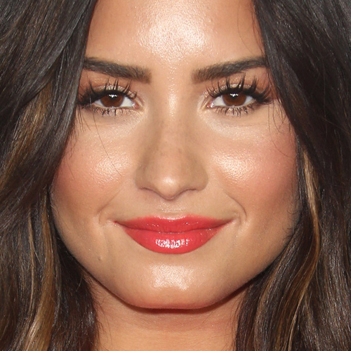 Demi Lovato Makeup: Black Eyeshadow, Brown Eyeshadow, Silver Eyeshadow ...