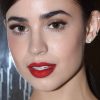 Sofia Carson Makeup: Bronze Eyeshadow, Taupe Eyeshadow & Mauve Lipstick ...