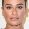 Lea Michele Makeup: Beige Eyeshadow, Silver Eyeshadow & Metallic Pink ...