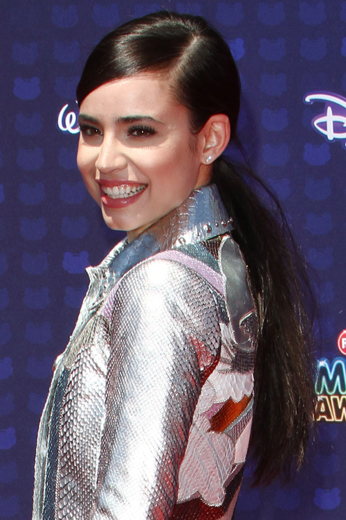 Sofia Carson Straight Dark Brown Low Ponytail, Ponytail Hairstyle ...