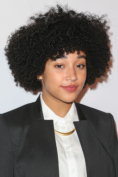 Amandla Stenberg Curly Black Afro Hairstyle | Steal Her Style