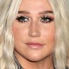 Kesha 'Die Young' Makeup: Purple Eyeshadow Look | Steal Her Style