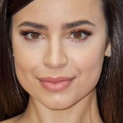 Sofia Carson Makeup: Bronze Eyeshadow, Taupe Eyeshadow & Mauve Lipstick ...