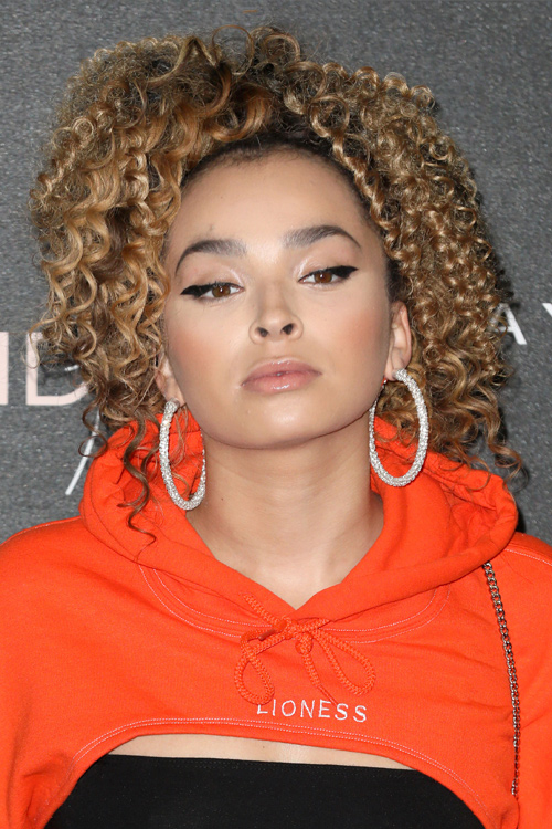 Ella Eyre Curly Dark Brown High Ponytail, Ponytail, Two-Tone Hairstyle ...