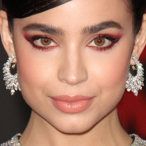 Sofia Carson Makeup: Black Eyeshadow, Brown Eyeshadow & Red Lipstick ...