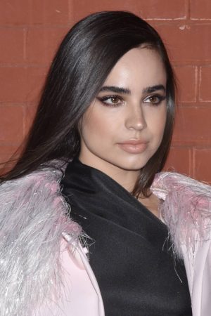 Sofia Carson's Hairstyles & Hair Colors | Steal Her Style
