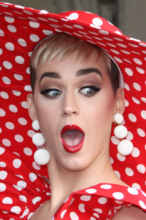 Katy Perry's Hairstyles & Hair Colors | Steal Her Style