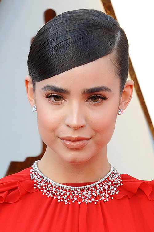 Sofia Carson Straight Dark Brown Low Ponytail, Ponytail Hairstyle | Steal Her Style