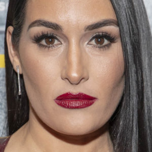 Nikki Bella Makeup: Black Eyeliner, Bronze Eyeshadow, Brown Eyeshadow ...