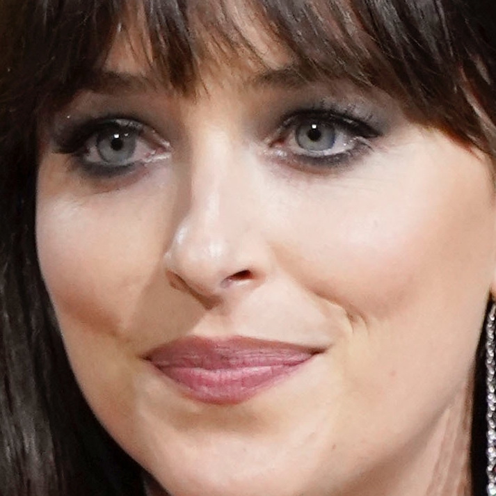 Dakota Johnson Makeup: & | Steal Her Style